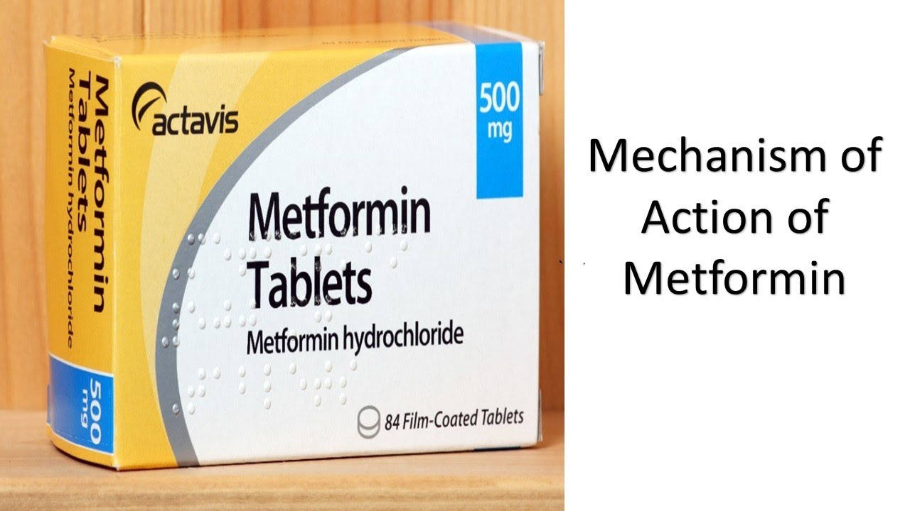 Mechanism of Action of Metformin l Pharmacology l Physiology l Pharmacy ...
