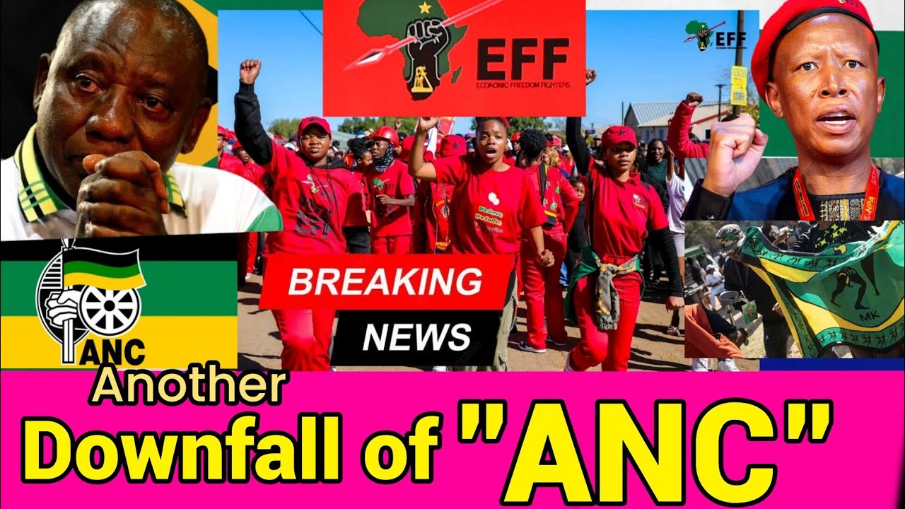 ANC Shocked as EFF and MK Party Surge in Free State By-Election | Ward ...