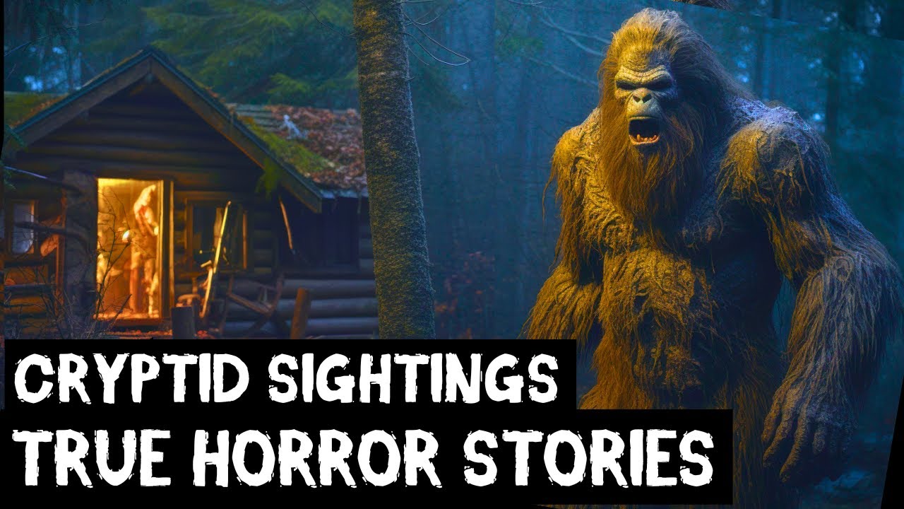 20 TRUE Disturbing Cryptid Sightings Horror Stories Told In The Rain ...