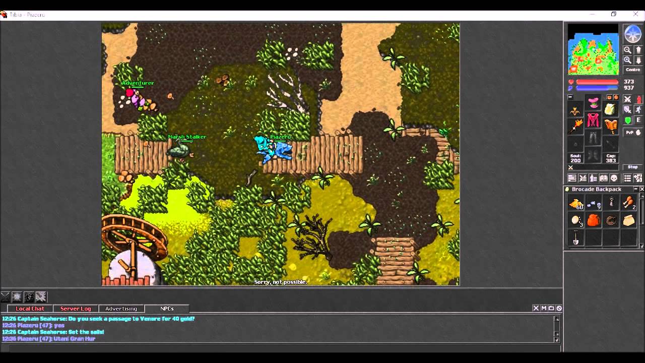 [TIBIA] MONTARIA WATER BUFFALO - YouTube