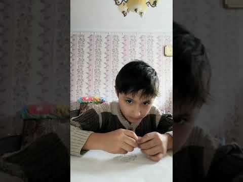 niva resmi cekmek