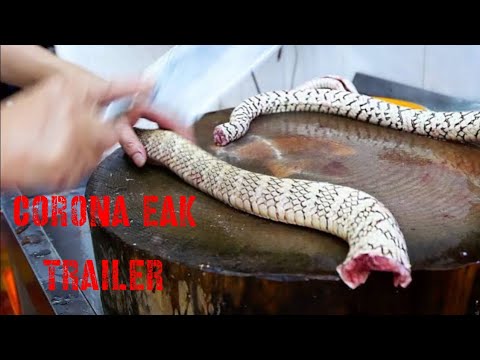 Snake Dish | Snake Dish in China @MurliwaleHausla #streetfood - YouTube