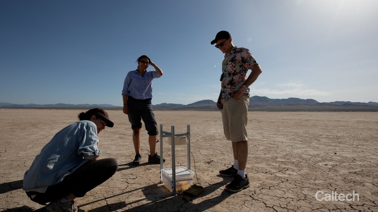 Drosophila in the Desert: How Fruit Flies Navigate Long Distances - YouTube
