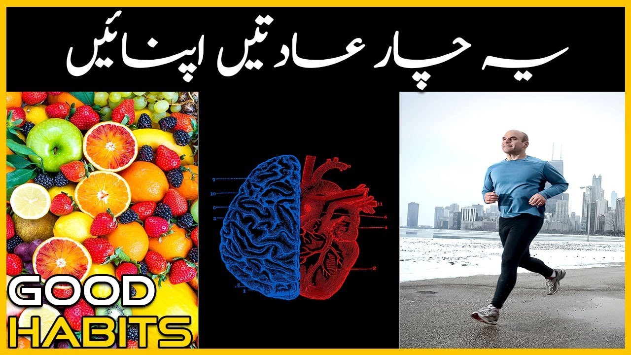 Four Good Habits for Healthy Brain | اردو | हिन्दी - YouTube