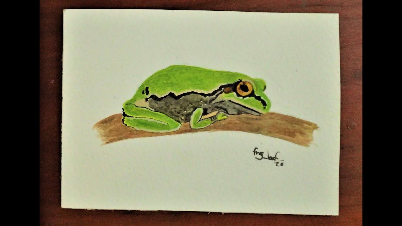 How To Paint Green Frog With Watercolors - small, quick and simple ...