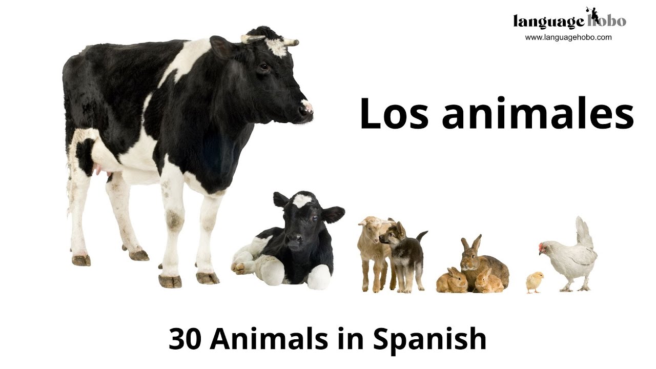 Animals in Spanish (Los animales) - Learn 30 Animals in Español (with ...