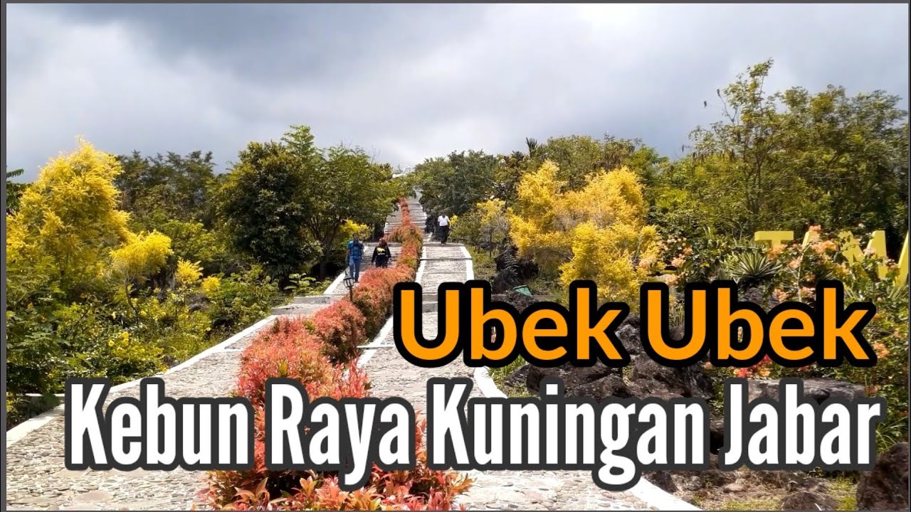 Ubek ubek Kebun Raya Kuningan Jawa barat | Destinasi wisata - YouTube
