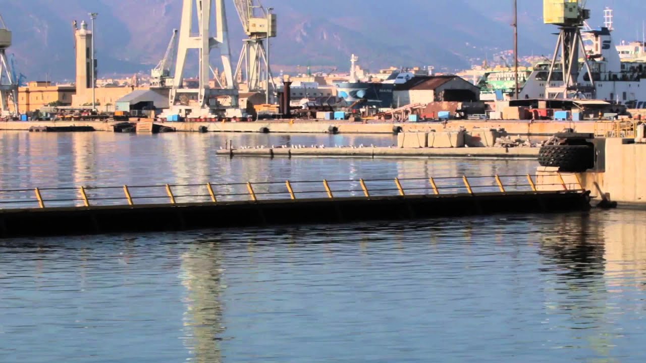 MSC Armonia relaunch - the Renaissance programme - YouTube