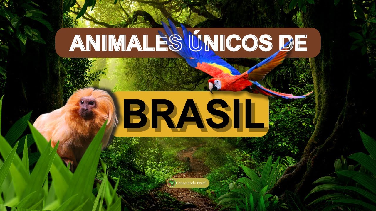 Animales únicos de Brasil #brasil #biodiversidad #faunabrasileira - YouTube