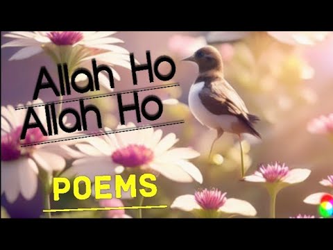 Allah Ho Allah Ho poem | Chirya Boli Choo Choo | Urdu Kids Nursery ...