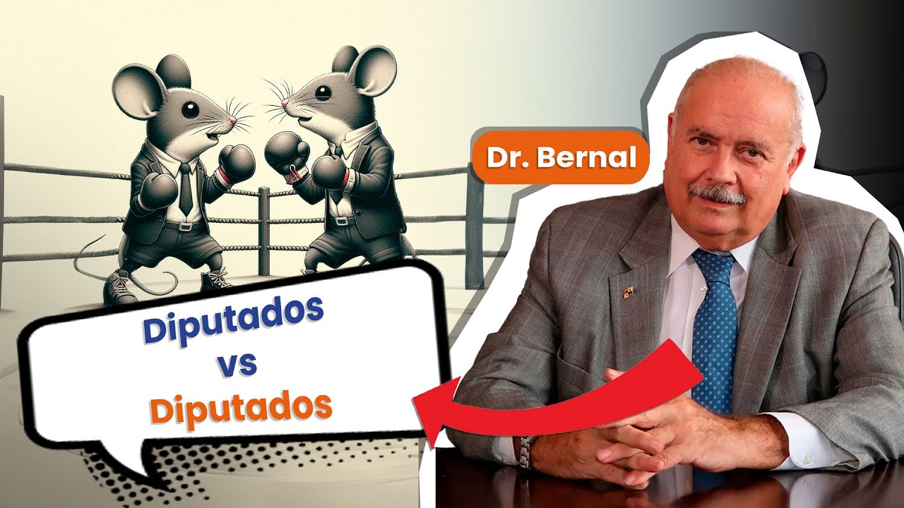 🎙️ Dr. Bernal: ¿Reducir el Estado? El Desafío de Mulino y los Diputados ...