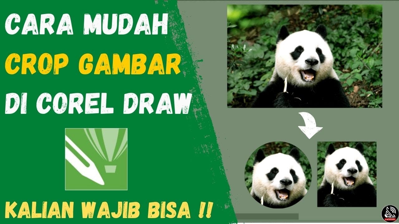 Cara Crop Gambar di Coreldraw Menjadi Bulat atau Persegi - YouTube