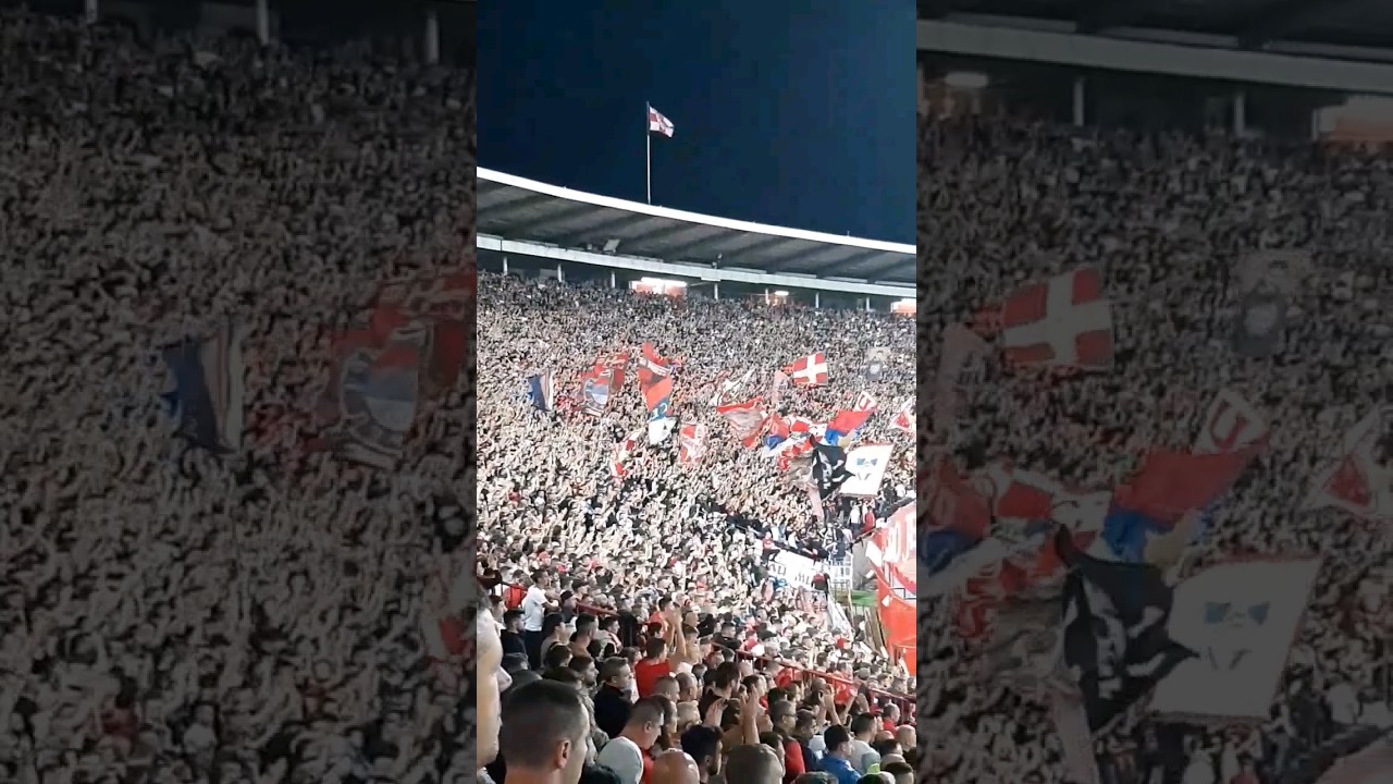 FC RED STAR BELGRADE-FC YOUNG BOYS Champions Leauge#redstar#звезда# ...