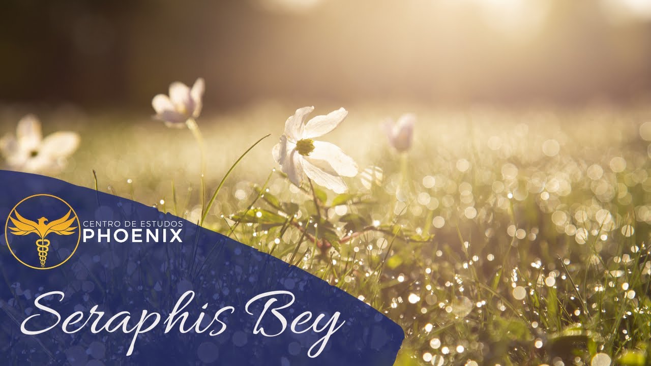 Seraphis Bey - YouTube