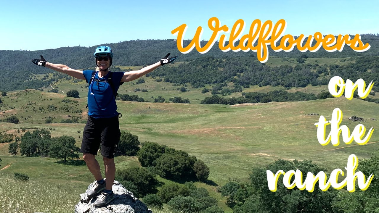 Places 2 MTB: Magnolia Ranch - Cronan Ranch Wildflowers - YouTube