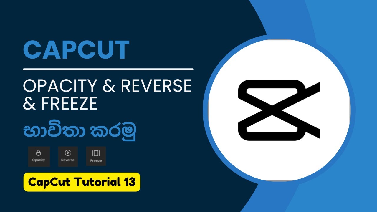 How to Create the Opacity & Reverse & Freeze Effect | CapCut Tutorial 13 - YouTube