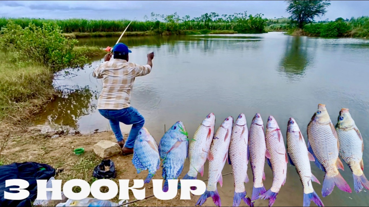 Triple Hook Fishing Bait | Big Mirgal Fish Catch | Hook Fishing ...