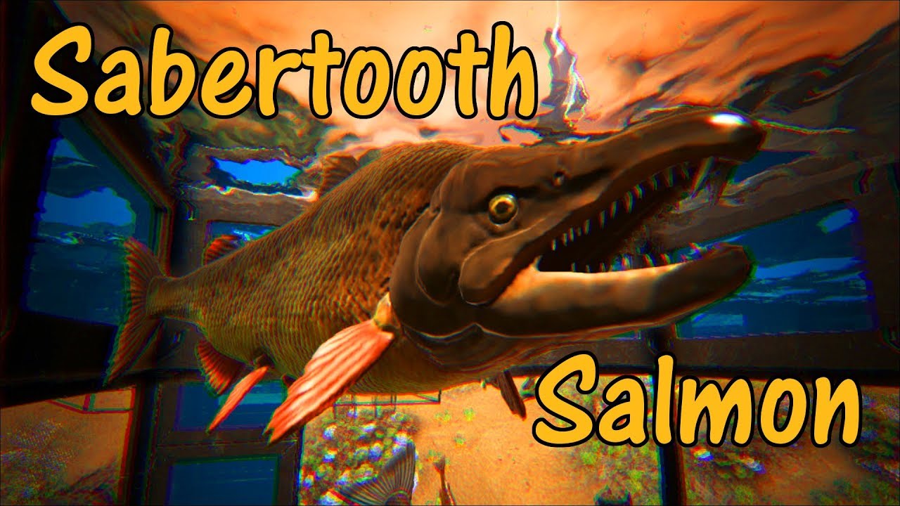 Sabertooth Salmon Educational Special [75] - YouTube