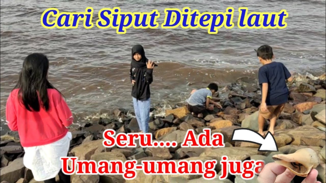 Cari siput di tepi laut Dumai @DanishAndFamilyDumai - YouTube