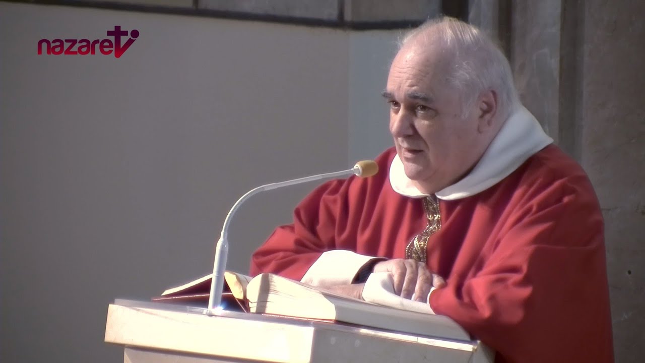 Evangelio y homilía de hoy viernes 24 de noviembre de 2023. Rvdo. Enric Ribas, pbro. - YouTube