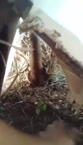 Teepee Ng manok diy - YouTube