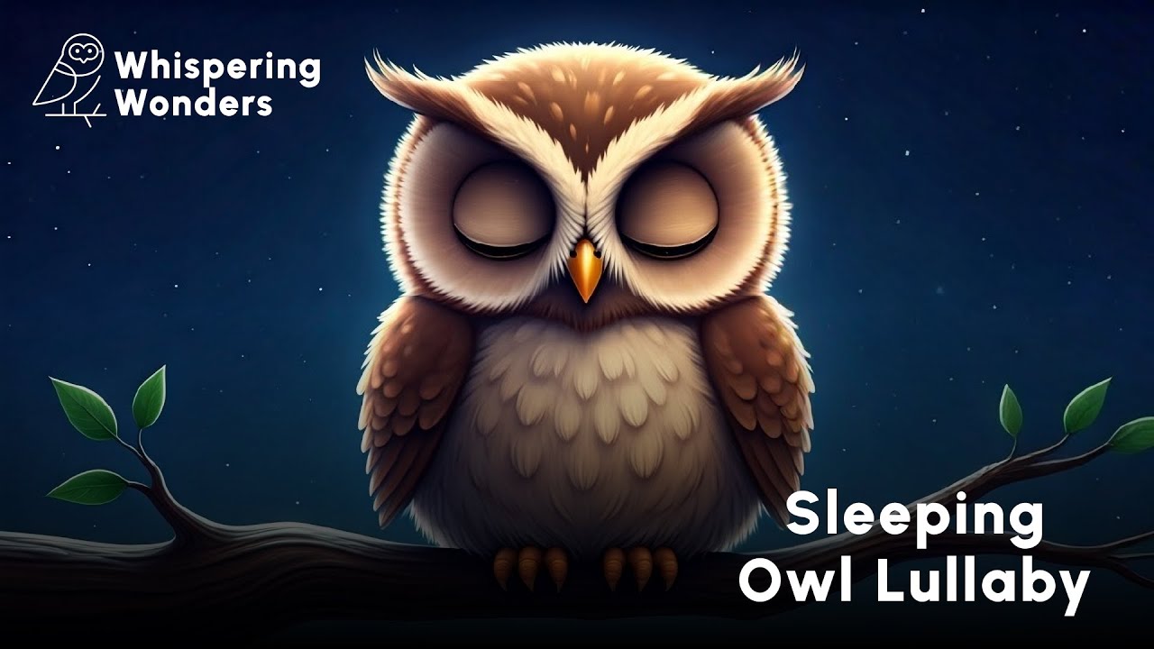Sleeping Owl Lullaby - YouTube