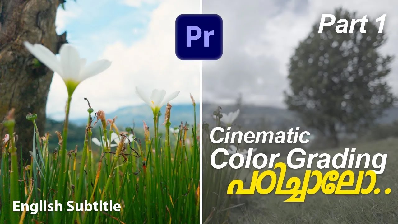 How to Color Grade Like a Pro Malayalam | Part 1 | Cinematic Color ...