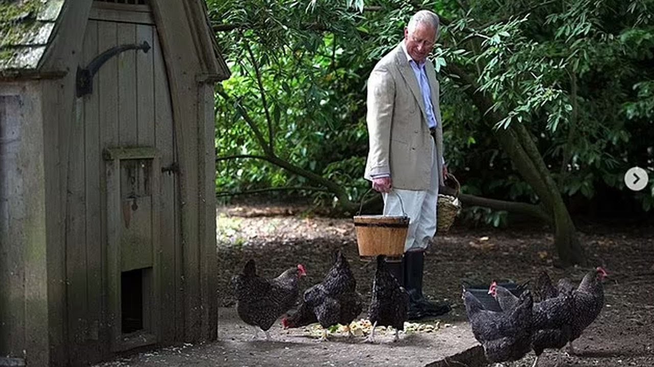 King Charles is expanding his farm at Highgrove as he receives new ...