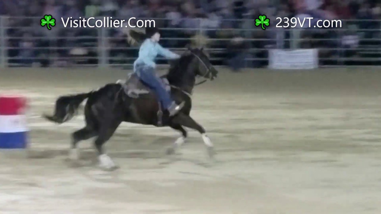 Fort Myers Pro Rodeo North Fort Myers Lee Co SW Florida ~ VisitCollier ...