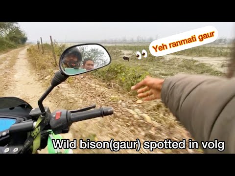 MEGHAULI NARAYANI SIDE | JIMDAR