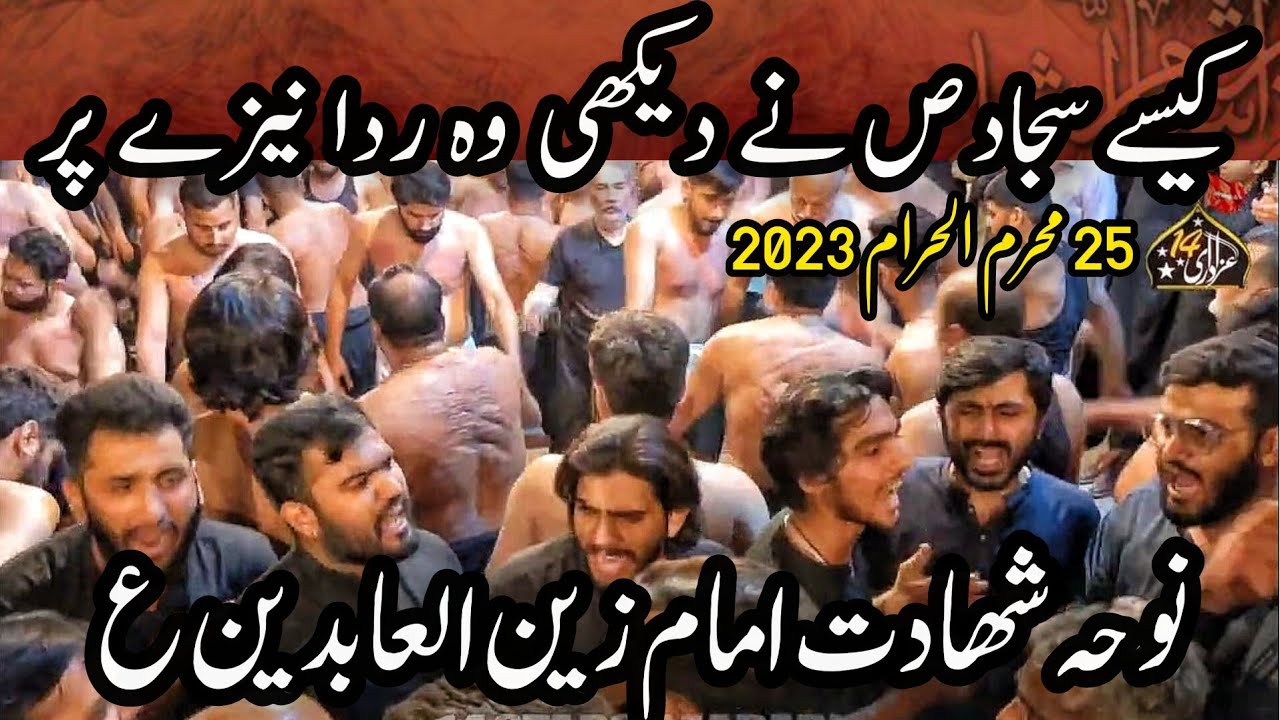 kasy Sajjad Ney Dekhi Wo Rida| Sangat Tableegh e Matam E Shabbir Multan| Noha Mola Sajjad|Viral ...