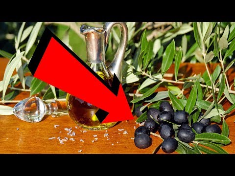 BU ZEYTUN AĞACININ 1200 YAŞI VƏ KİÇƏSİ 5000 LİRADAN BAŞLAYIR!