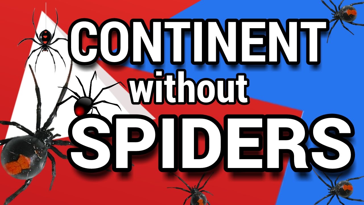 A CONTINENT without SPIDERS - YouTube