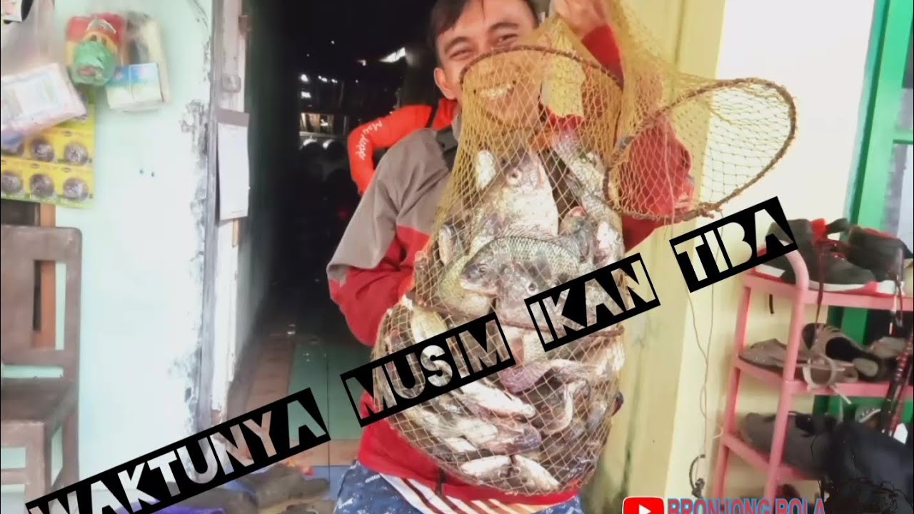 waktunya musim ikan tiba - YouTube