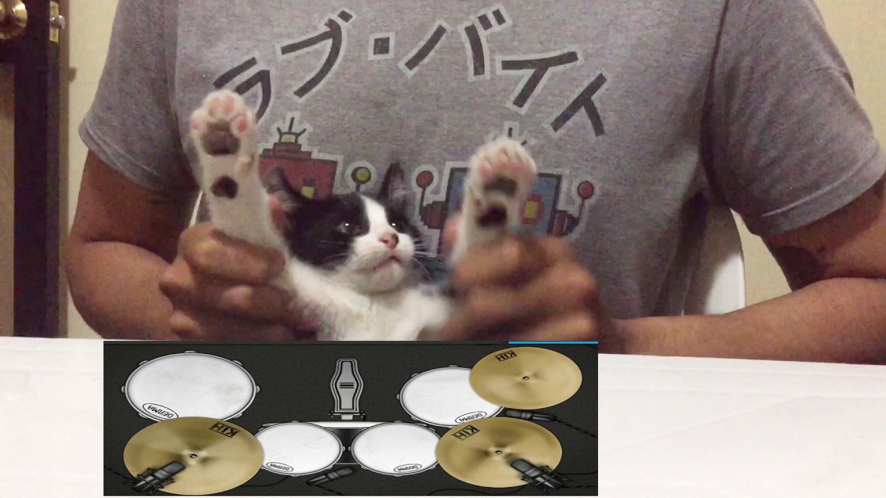 TOXICITY - System of a Down - Cat cover - YouTube