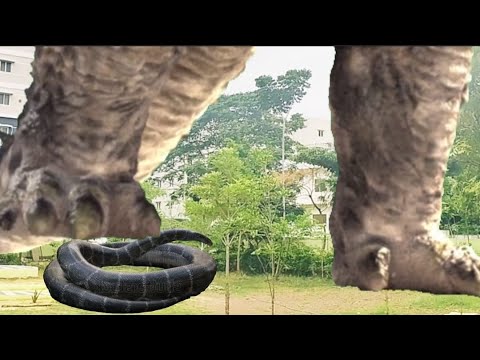 Godzilla vs Anaconda | Godzilla | Anaconda | Giant Snake | Godzilla ...