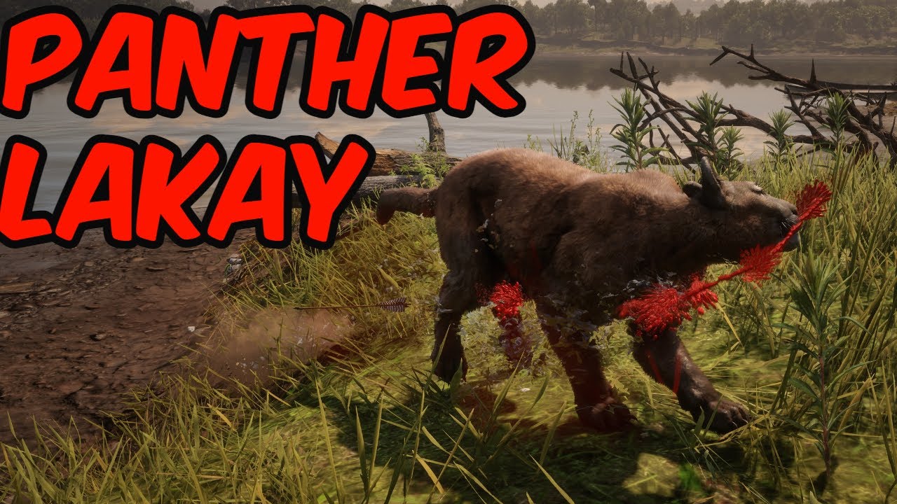 Panther Lakay RDR2 - YouTube