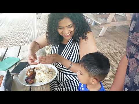 Safari park// Liverpool Zoo review, Monkeys All over my car🐒🦁🦓🦌 - YouTube