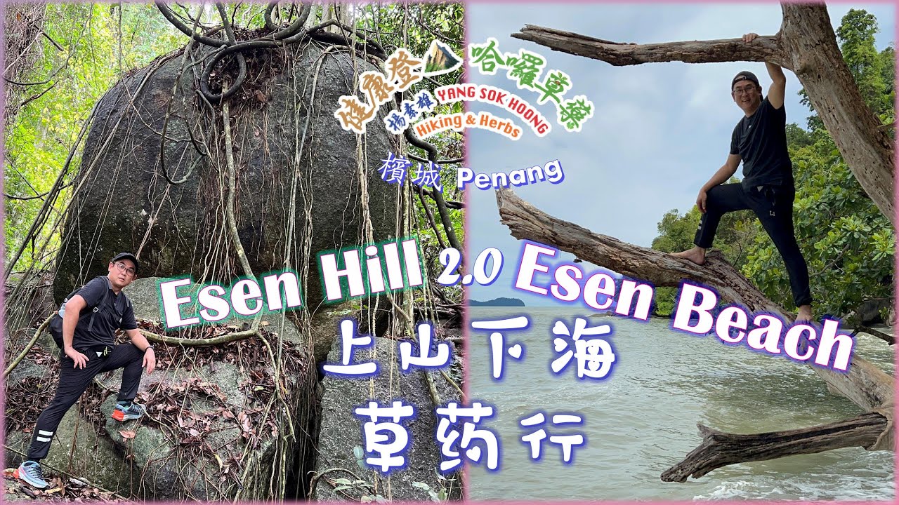 Esen Beach & Esen Hill 2.0 上山下海草藥行 @ 檳城 Penang📍楊素雄醫師《健康登山⛰️哈囉草藥🌱》#壯麗【榕樹 ...
