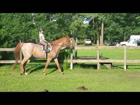 Annabelle Becker #75 Equitation - YouTube