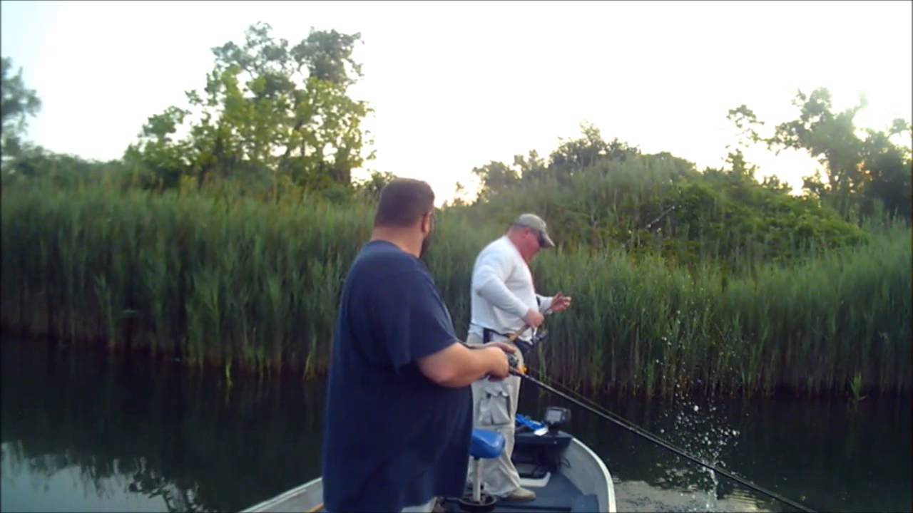 Mazonia 7-6-15, Eagle and Monster Lakes - YouTube