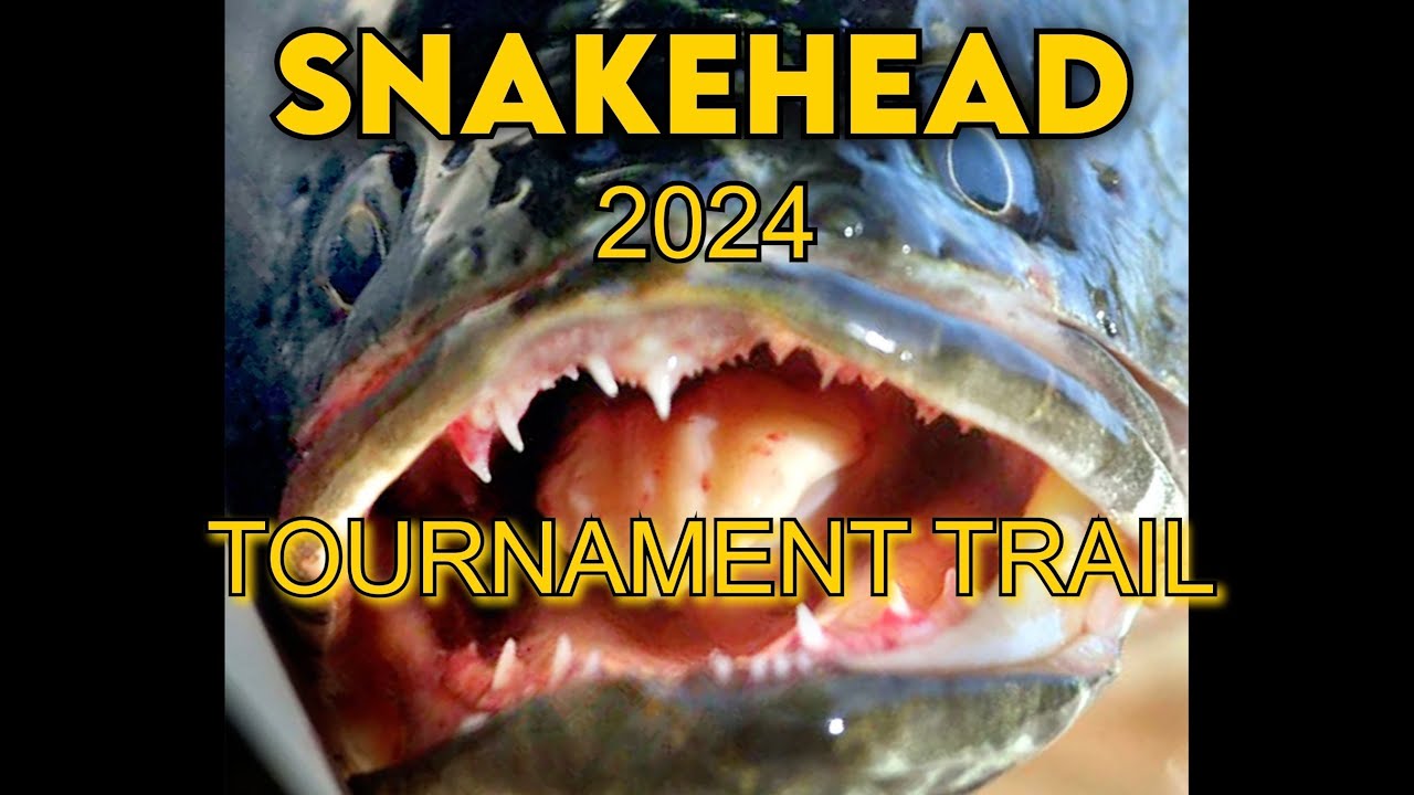 2024 NORTHERN #SNAKEHEAD TOURNAMENT TRAIL #northernsnakehead #snakehead ...