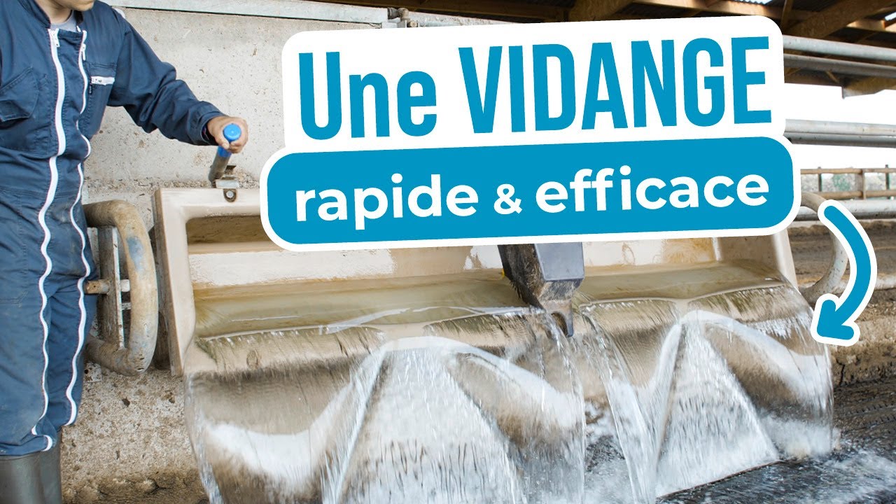 Le meilleur abreuvoir intérieur pour une vidange rapide et efficace ...
