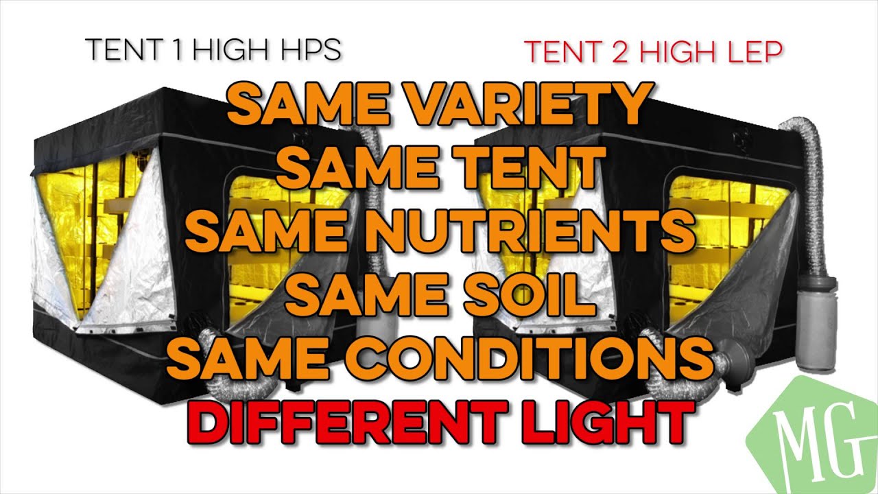 Cannabis Grow Lighting | Best Light for growing Cananbis | Cannabis ...