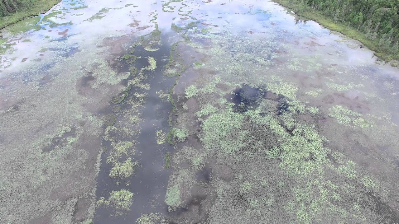 Big Moose Lake Inlet Paul's Kayak Trip I - YouTube