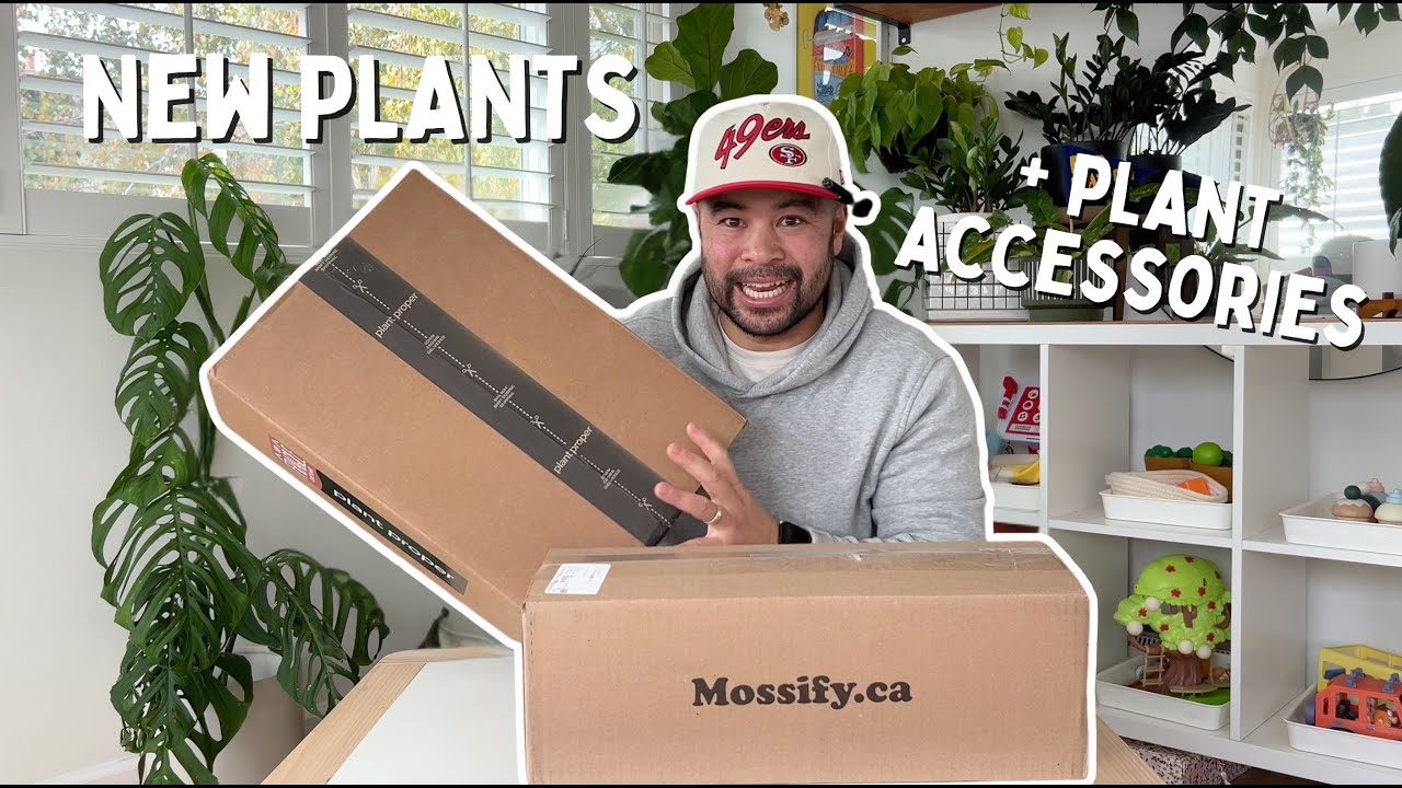 New plants + plant accessories that make great stocking stuffers or ...