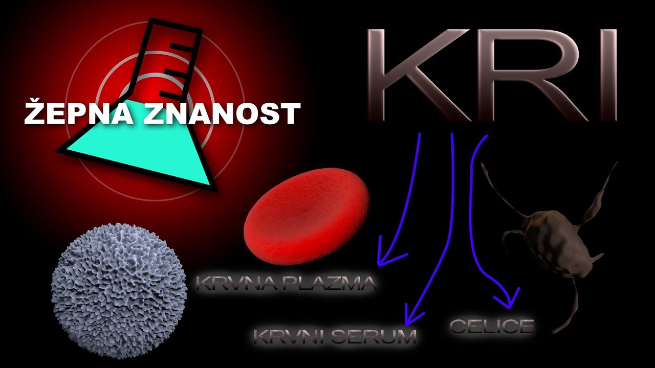 Spoznajmo kri - YouTube