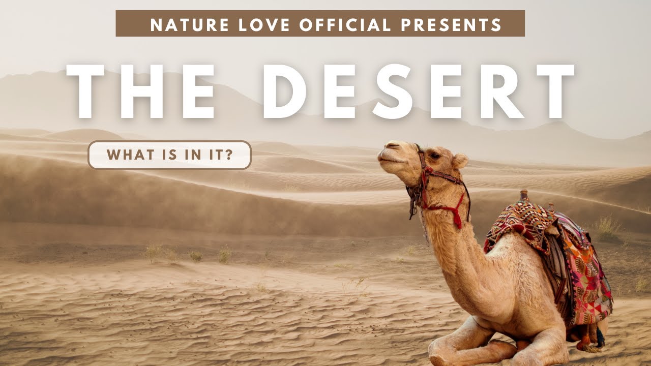 DESERT | NATURE LOVE |MEDITATION | SOLITUDE | PEACE | CAMEL | NATURE ...