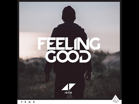 Avicii – Feeling Good