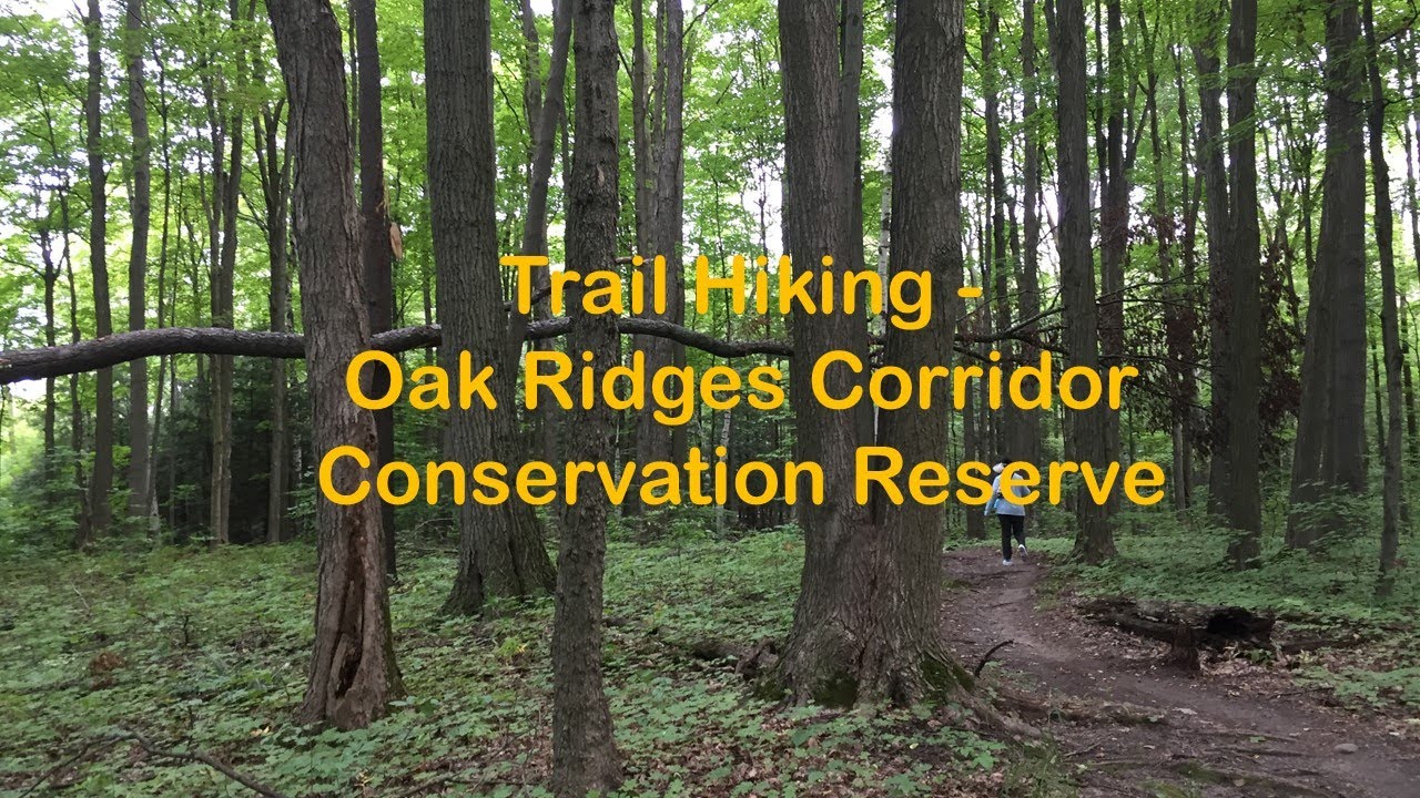 Hiking on Oak Ridges Corridor Conservation Reserve - YouTube